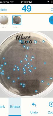 OpenCFU Alternatives - Explore Similar Software | AlternativeTo