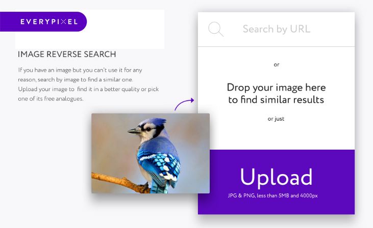 Everypixel Alternatives and Similar Sites / Apps | AlternativeTo