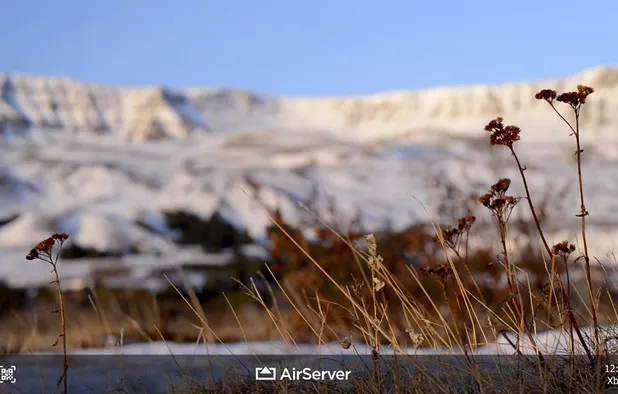 AirParrot Alternatives: 25+ Screen Mirroring & Similar Apps | AlternativeTo