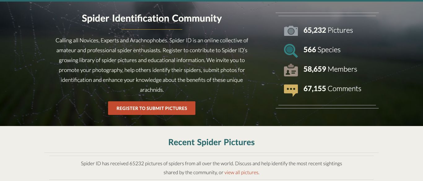 Spider ID Alternatives and Similar Sites & Apps | AlternativeTo