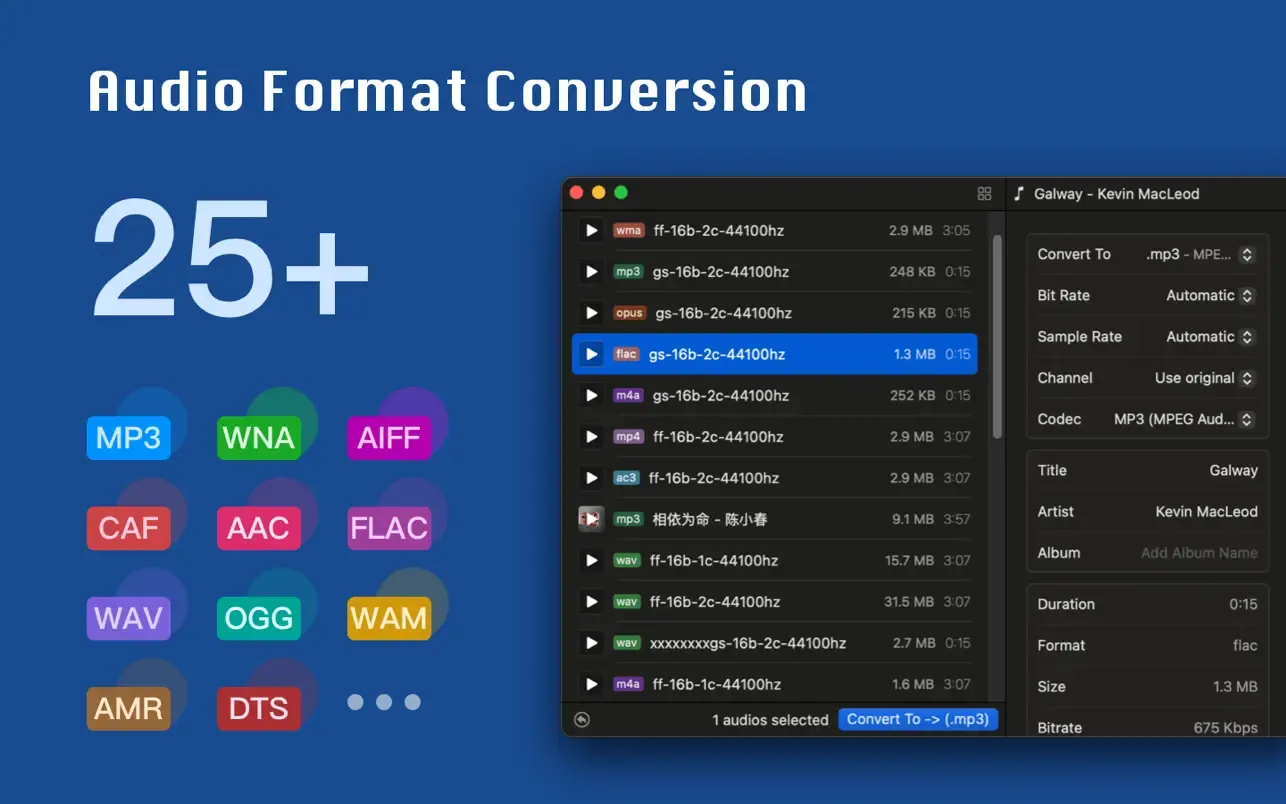 Audioer: One-click conversion of all audio files to MP3 format ...