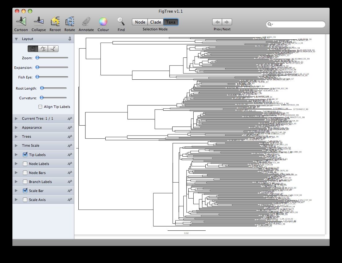 FigTree Alternatives - Explore Similar Software | AlternativeTo
