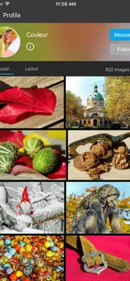 PostImage.org Alternatives: Top 12 Image Hosting Services | AlternativeTo