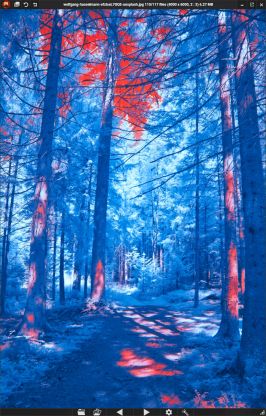 PicView: Fast, free and fully customizable image viewer for Windows 10 ...