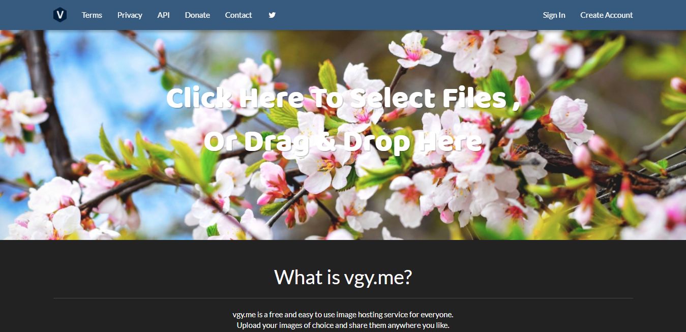 vgy.me Alternatives: Top 9 Image Hosting Services | AlternativeTo