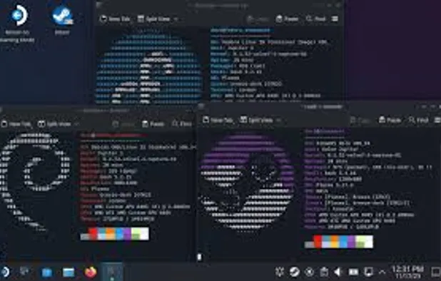 Bazzite Alternatives: Top 10 Linux Distros & Operating Systems ...