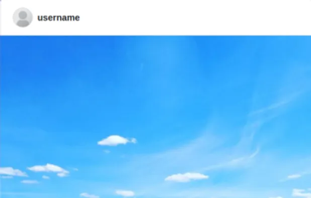 10 Great Flickr Alternatives: Top Photo Sharing Apps in 2024 ...