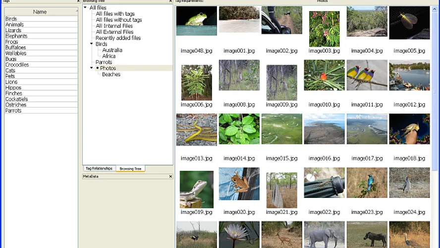 Tagging for Windows Alternatives and Similar Software | AlternativeTo