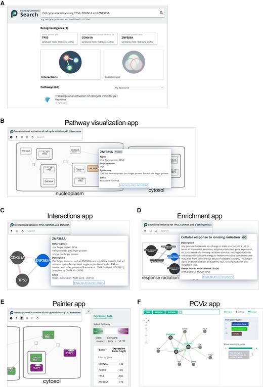 Pathway Commons Alternatives - Explore Similar Sites & Apps | AlternativeTo