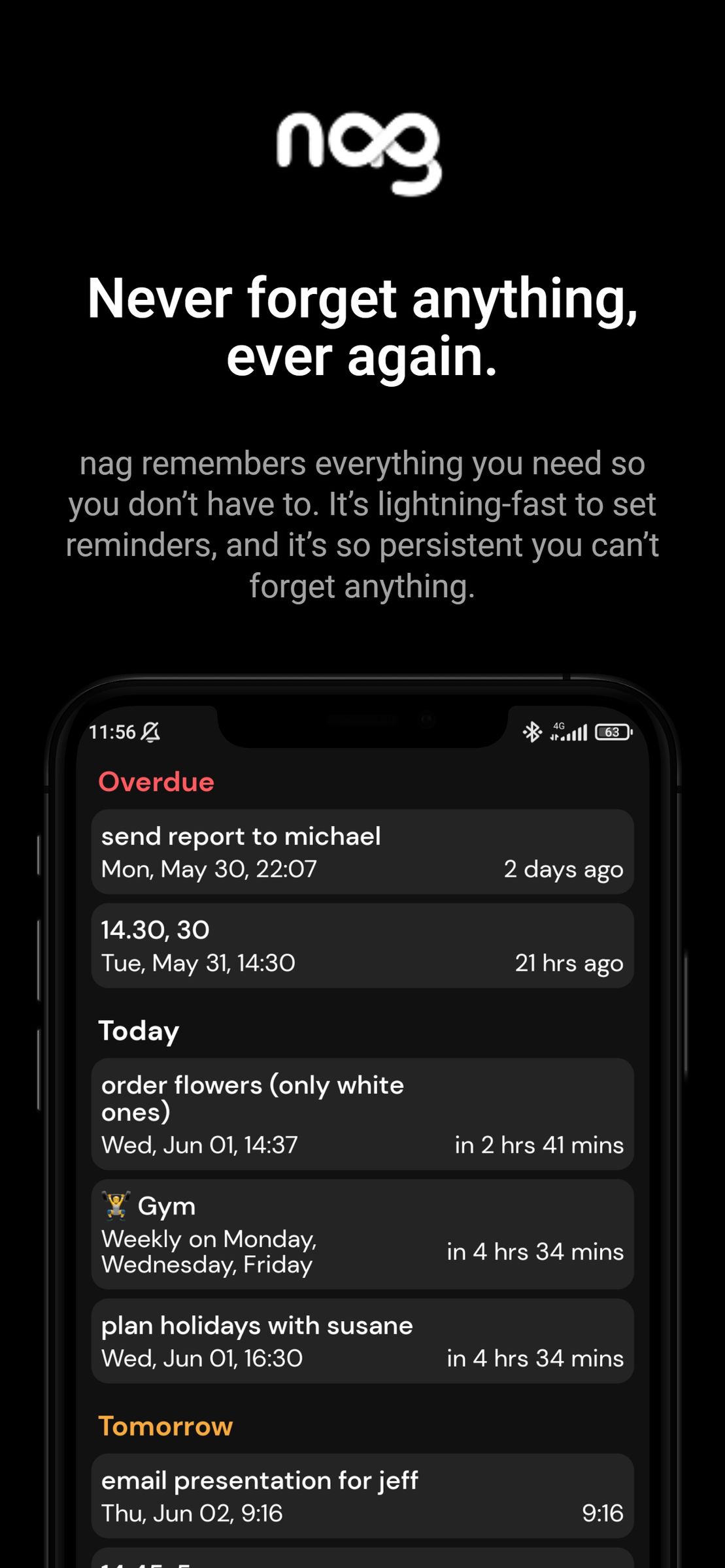 nag reminder Alternatives: 25+ Todo List Managers | AlternativeTo