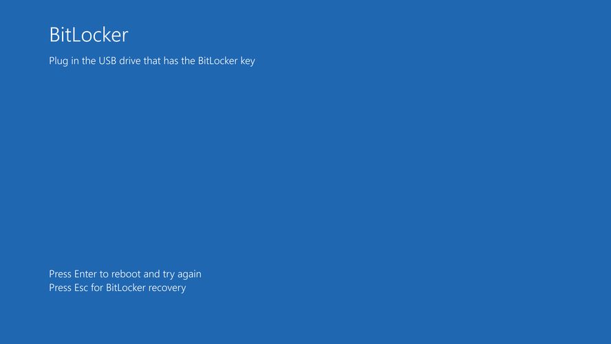 Windows BitLocker: BitLocker Drive Encryption is a data protection ...