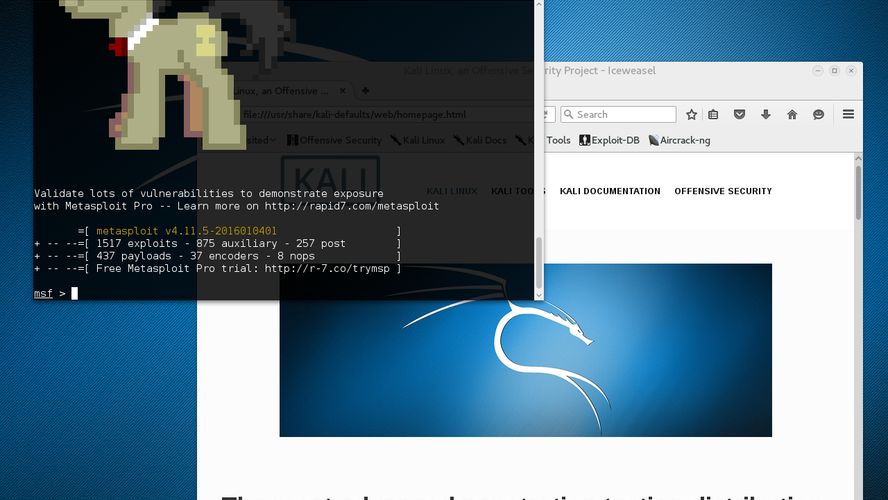 Kali Linux: Security and digital forensics focused Linux distribution ...