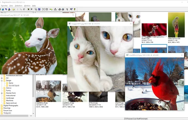 12 Great PureRef Alternatives: Top Image Viewers & Research Managers in ...