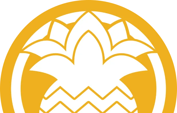 Great IDA Alternatives: Top Decompilers in 2025 | AlternativeTo