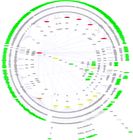 Graphviz: Is open source graph visualization software | AlternativeTo