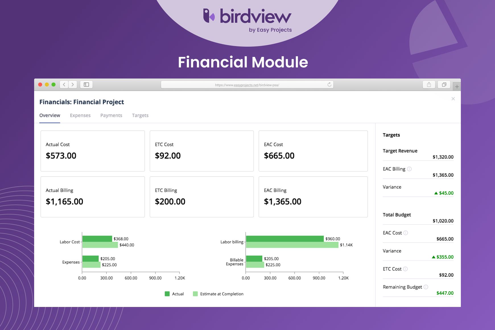 Birdview Professional Services Alternatives: Top 3 Project Management ...