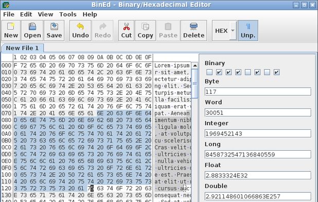 BinEd: Free and open source binary/hex viewer/editor and component written in Java | AlternativeTo
