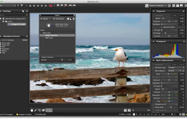 Adobe Lightroom Alternatives for Linux: Top 16 Photo Managers ...