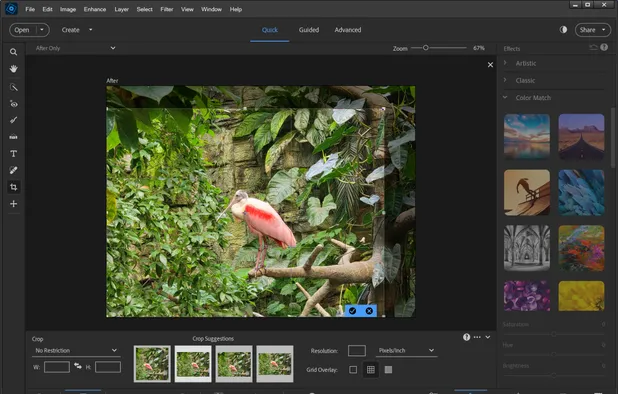 Pixelmator Alternatives for Windows: 25+ Image Editors | AlternativeTo