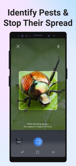 Picture Insect: Picture insect is an easy-to-use insect identifier tool ...