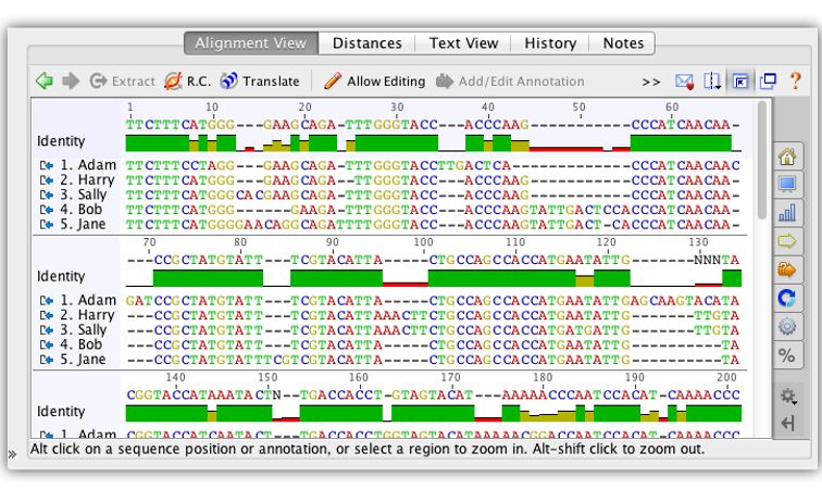 BioEdit Alternatives and Similar Software | AlternativeTo