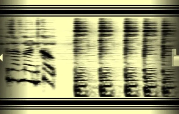 PhonoPaper: Camera app for playing pictures with encoded sound ...