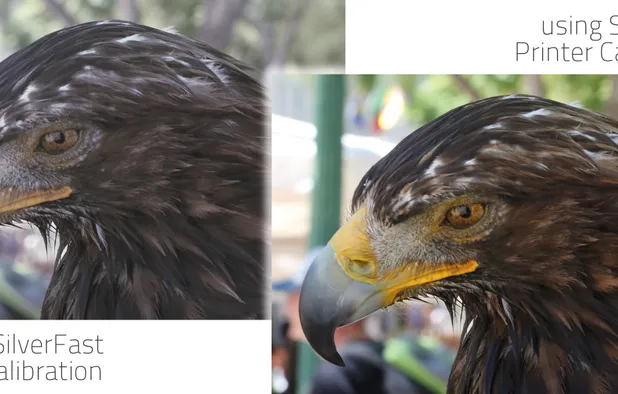 Great NAPS2 Alternatives: Top Document & Image Scanners in 2025 ...