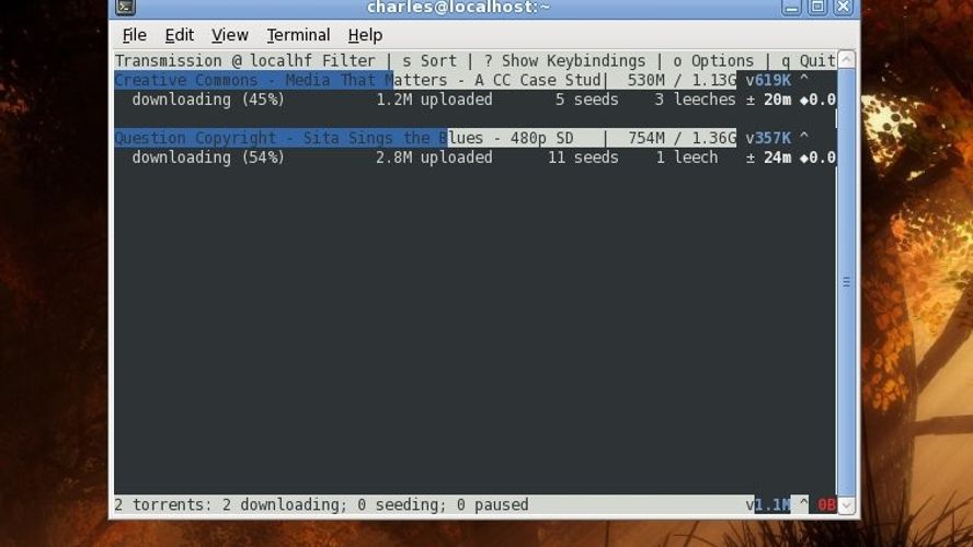 Transmission: Fast, easy, and free BitTorrent client | AlternativeTo