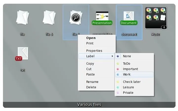 Nimi Places: Organizes desktop into customizable containers showing ...