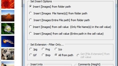 Excel Image Assistant Alternatives and Similar Software | AlternativeTo