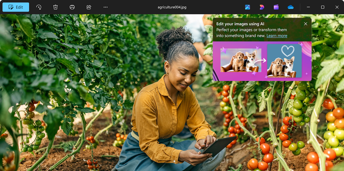 Microsoft Photos integrates AI-powered Designer for enhanced photo ...