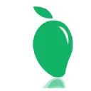 Mango Display: App turns any tablet, TV or monitor into a beautiful ...