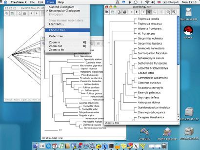 TreeView X Alternatives and Similar Software | AlternativeTo