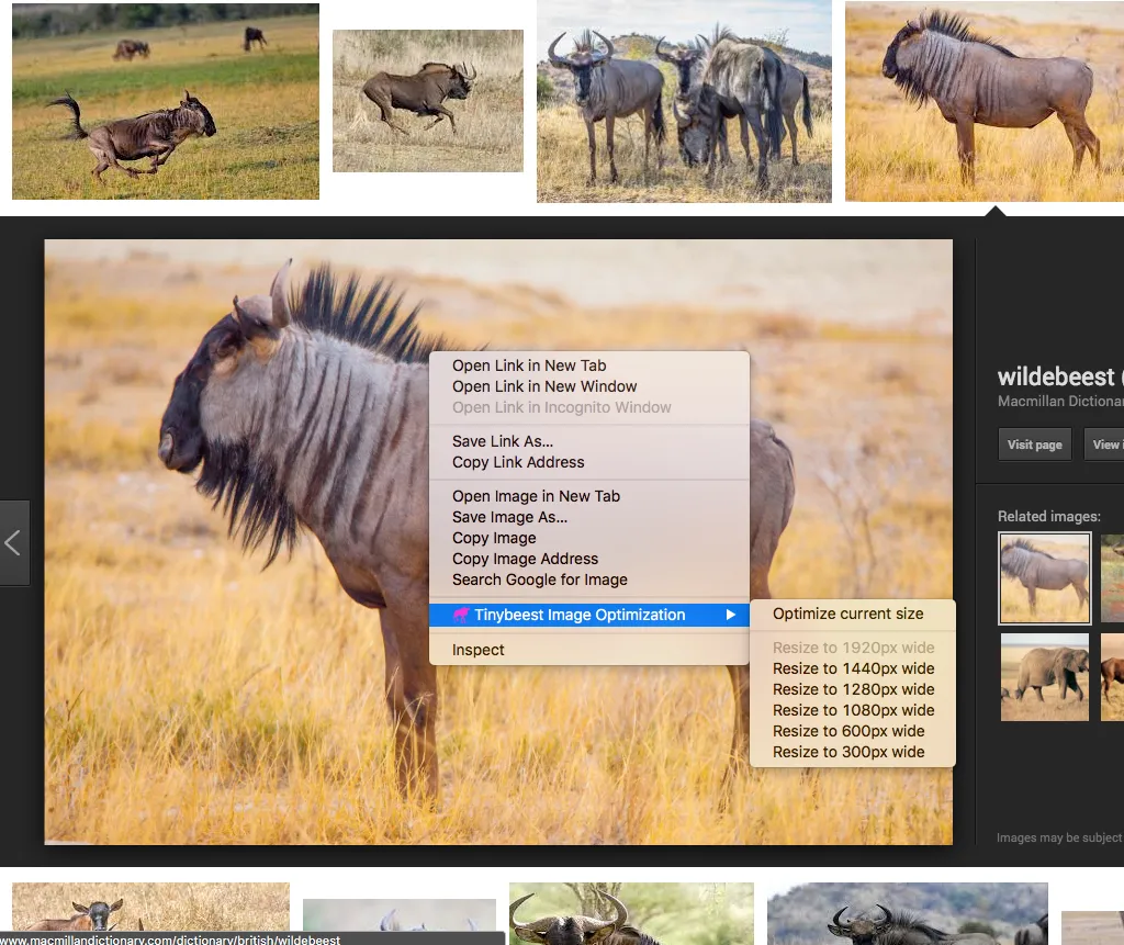 Tinybeest Alternatives: 25+ Image Optimizers & Similar Apps | AlternativeTo