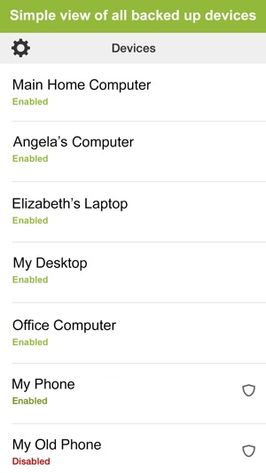 Carbonite: Cloud backup software from Carbonite helps protect your ...