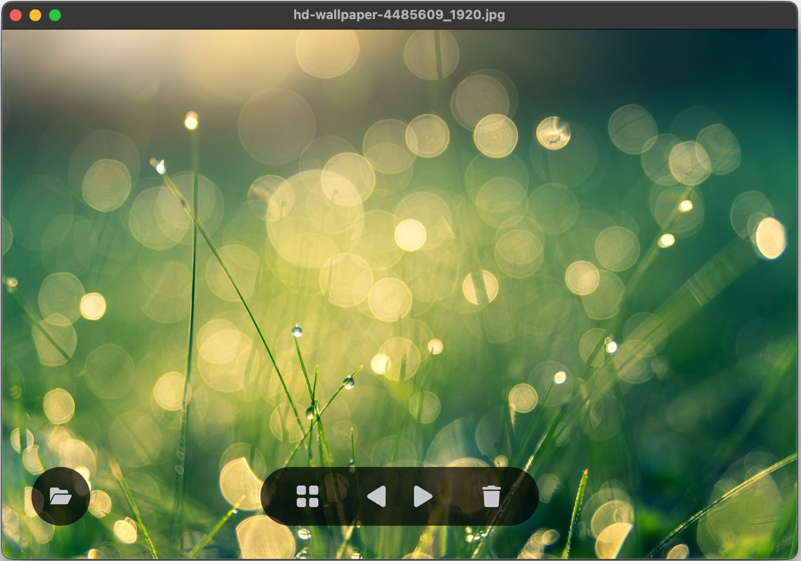 LeafView Alternatives: Image Viewers & Similar Apps - Page 2 | AlternativeTo