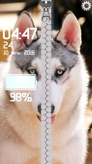 Dogs Lock Screen Zipper Alternatives and Similar Apps | AlternativeTo