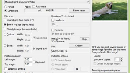 IrfanView: Fast, compact image viewer, editor, converter and organizer ...