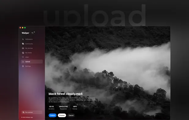 Best Wallpaper Engine Alternatives: Top Wallpapers Hubs in 2025 ...