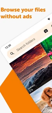10 Best Picasa Alternatives: Top Photo Managers & Image Viewers in 2024 ...