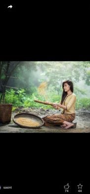 Unsplash Alternatives: Similar Stock Photo Services 2025 | AlternativeTo