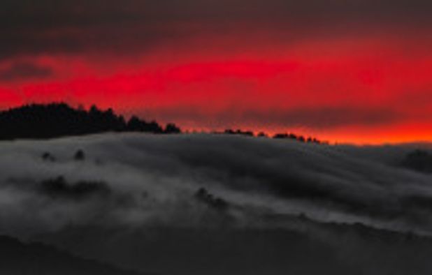 lorempixel Alternatives and Similar Software | AlternativeTo