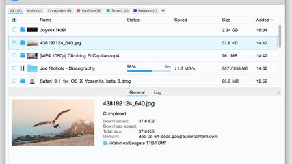 Folx Alternatives for Windows: 25+ Download Managers & Torrent Clients ...