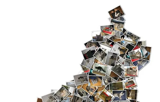 Photo Collage - Collage Maker Alternatives - Explore Similar Apps ...