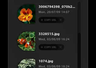 MultiUpload Alternatives and Similar Apps / Services | AlternativeTo