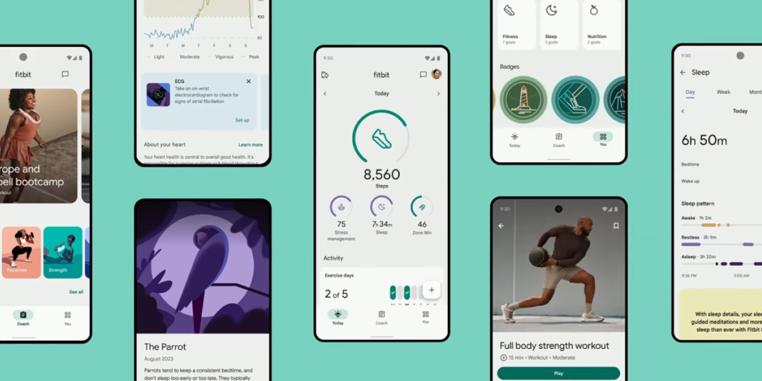 Fitbit introduces AI features for personalized coaching and in-depth ...
