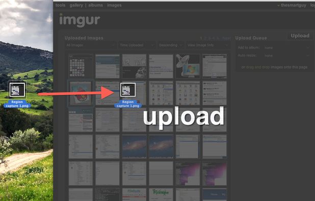 Pixabay Alternatives: Similar Stock Photo Services 2024 | AlternativeTo