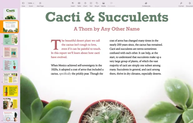 Best Microsoft Publisher Alternatives: Top Desktop Publishers in 2025 ...