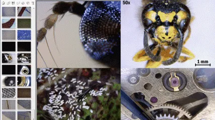 DinoCapture: All Dino-Lite USB products are equiped with an in-house ...