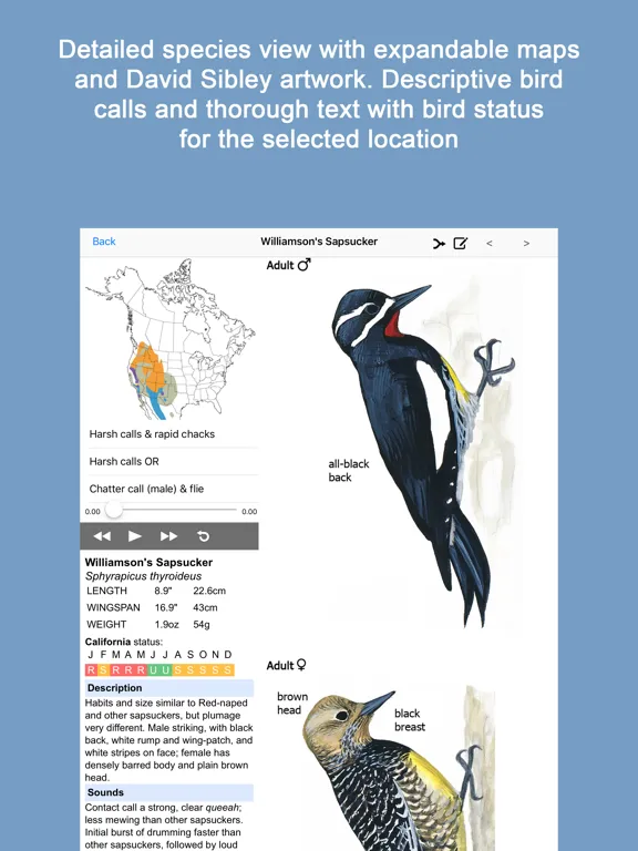 Sibley Birds 2nd Edition: The mobile version of an acclaimed field ...